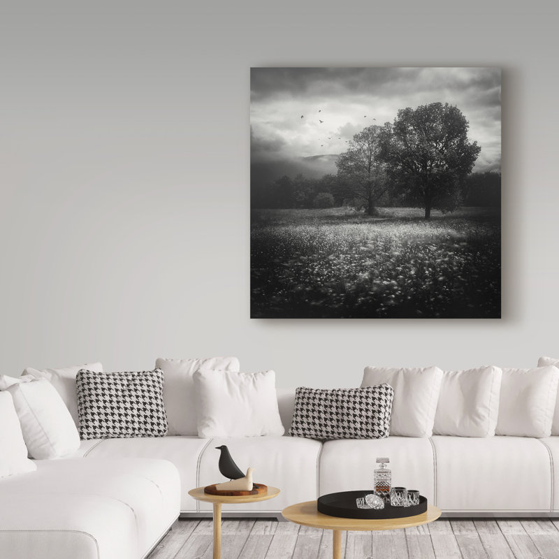 Trademark Fine Art 'Floral Field and Trees' Photographic Print on Wrapped Canvas | Wayfair